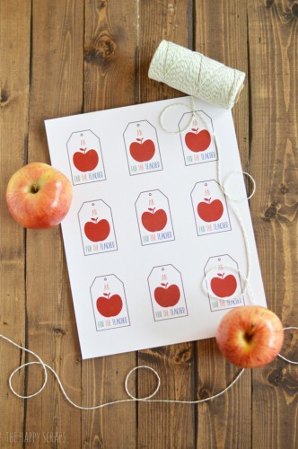 Apple Back to School Teacher Gift - The Happy Scraps