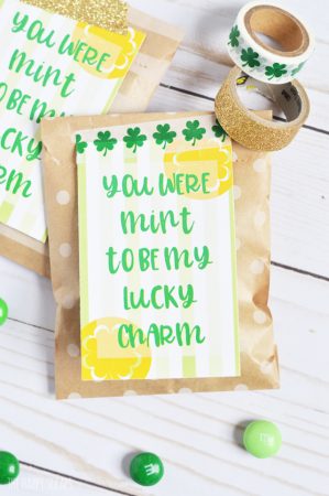 You Were "Mint" to be My Lucky Charm Treat Bags - The Happy Scraps
