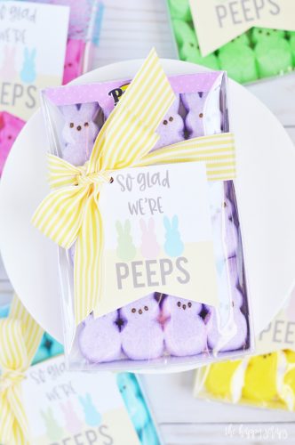 So Glad We're Peeps Easter Gift - The Happy Scraps